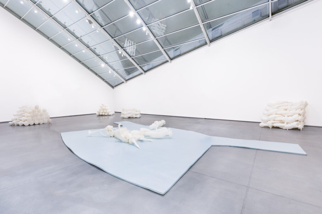 CREMASTER 3: The Five Points of Fellowship - Astrup Fearnley Museet